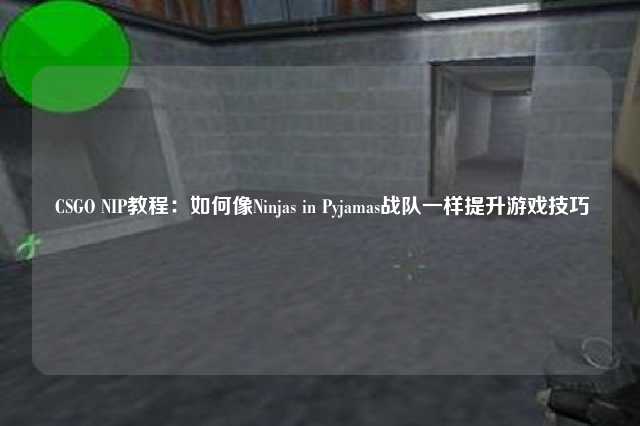 CSGO NIP教程：如何像Ninjas in Pyjamas战队一样提升游戏技巧 - CSGO知识 - csgo开箱网站